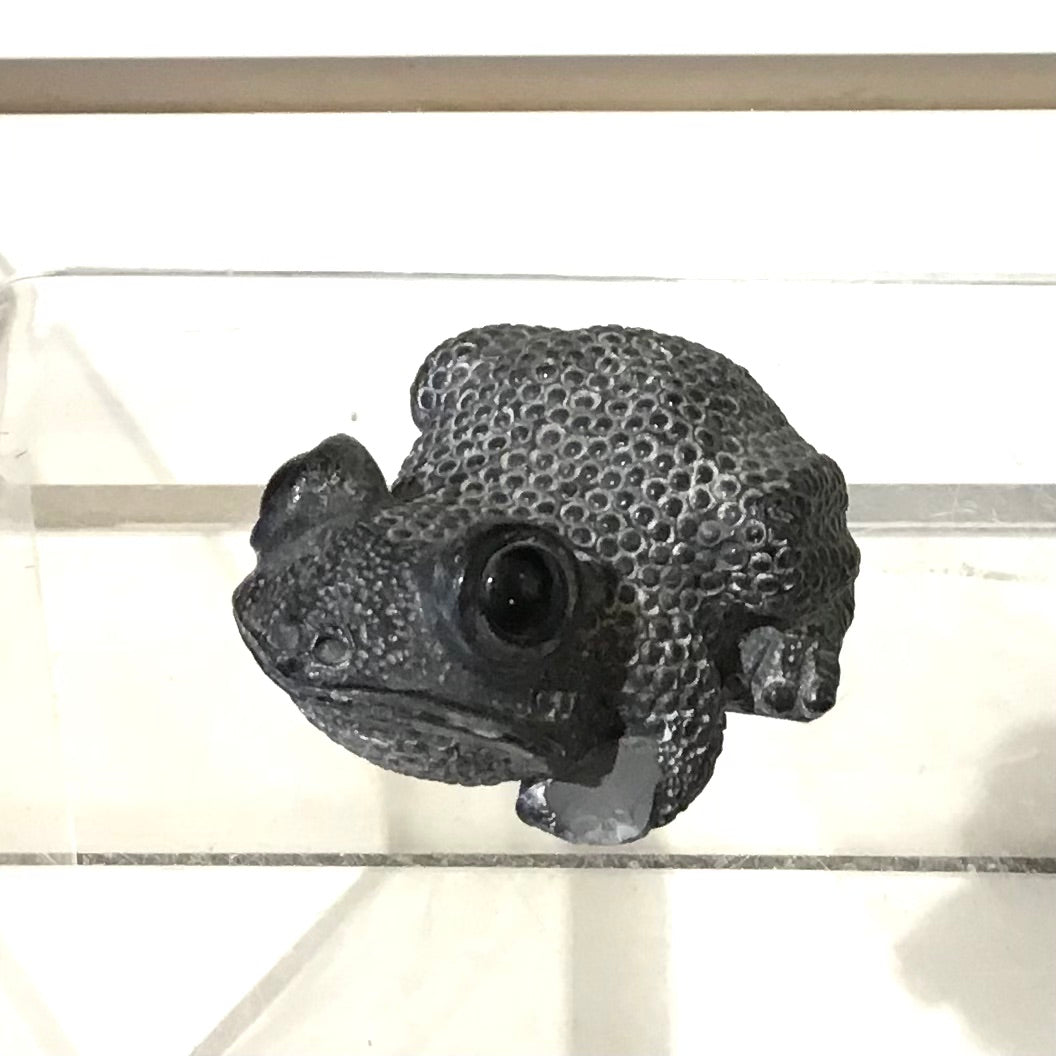 FROGS!!! – ethel20th